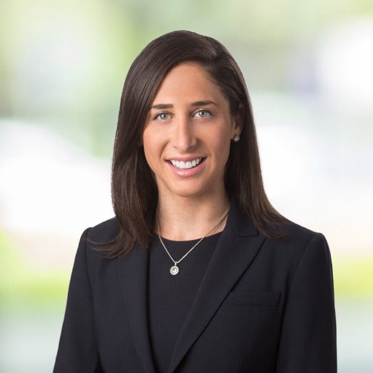 Lauren Brier | Attorney | PilieroMazza PLLC , Law Firm, Government ...